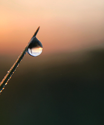 What to Do When Your Hair Repels Water
