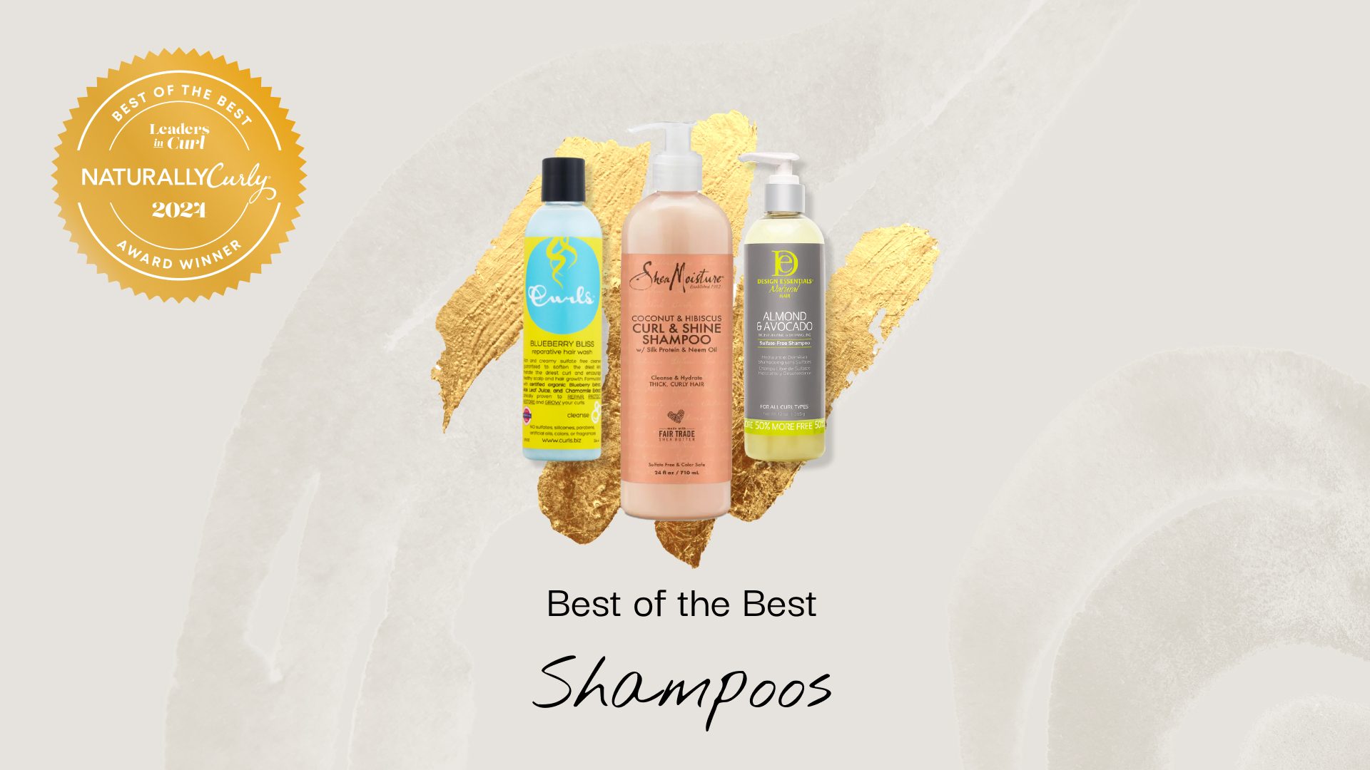 Best of The Best Shampoos 2024